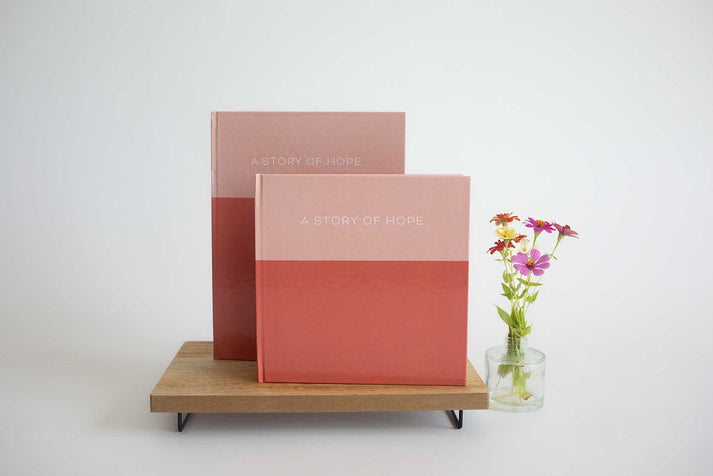 COLORBLOCK – Bridge to Book